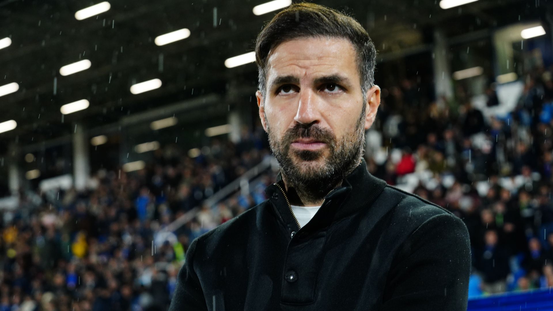 Como, Fabregas: "Con Sucic era tutto fatto, volevamo anche Luis ...