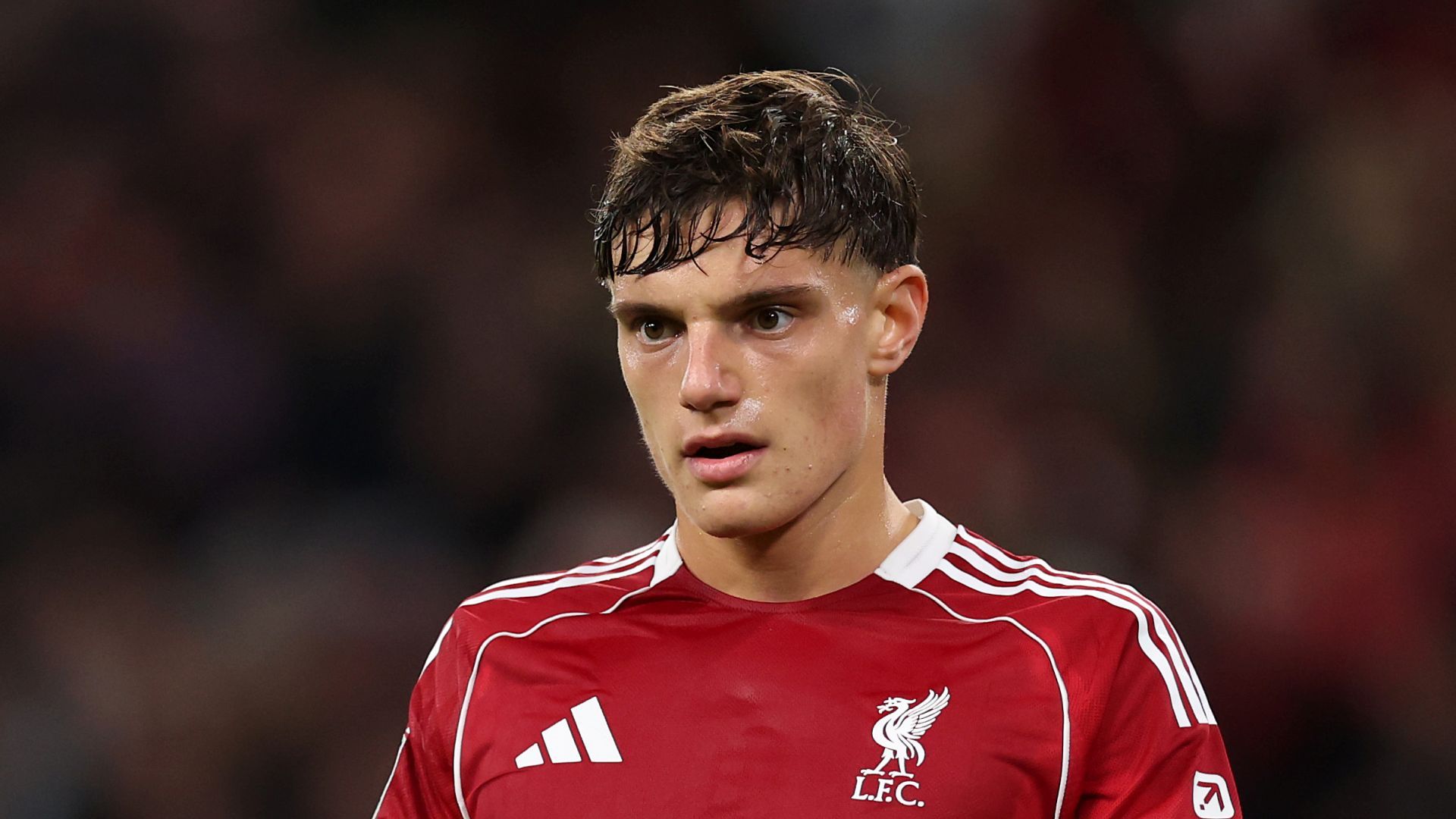 Liverpool, Slot: "L'infortunio di Leoni è terribile, tornerà tra un ...