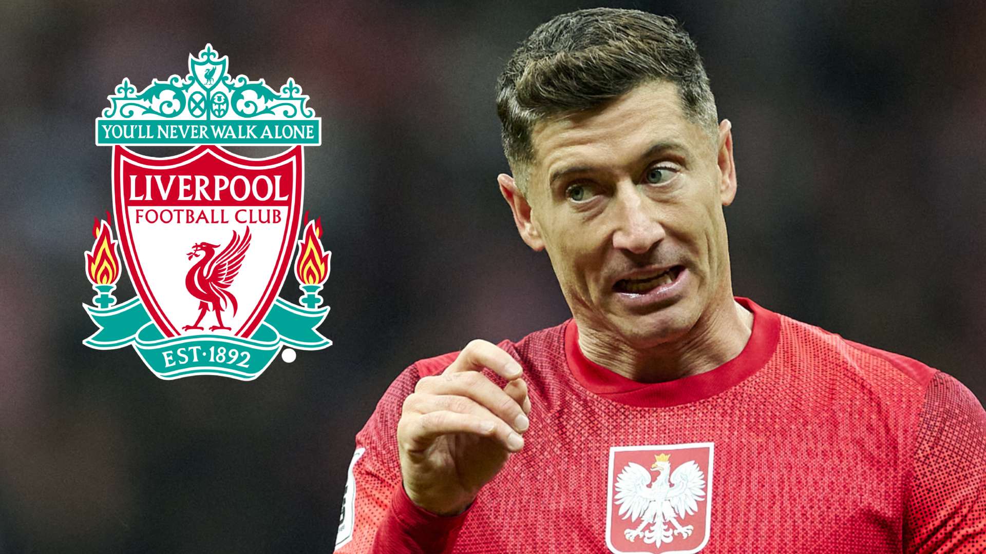 Liverpool - ultime notizie sulla squadra e sulle voci di mercato ...