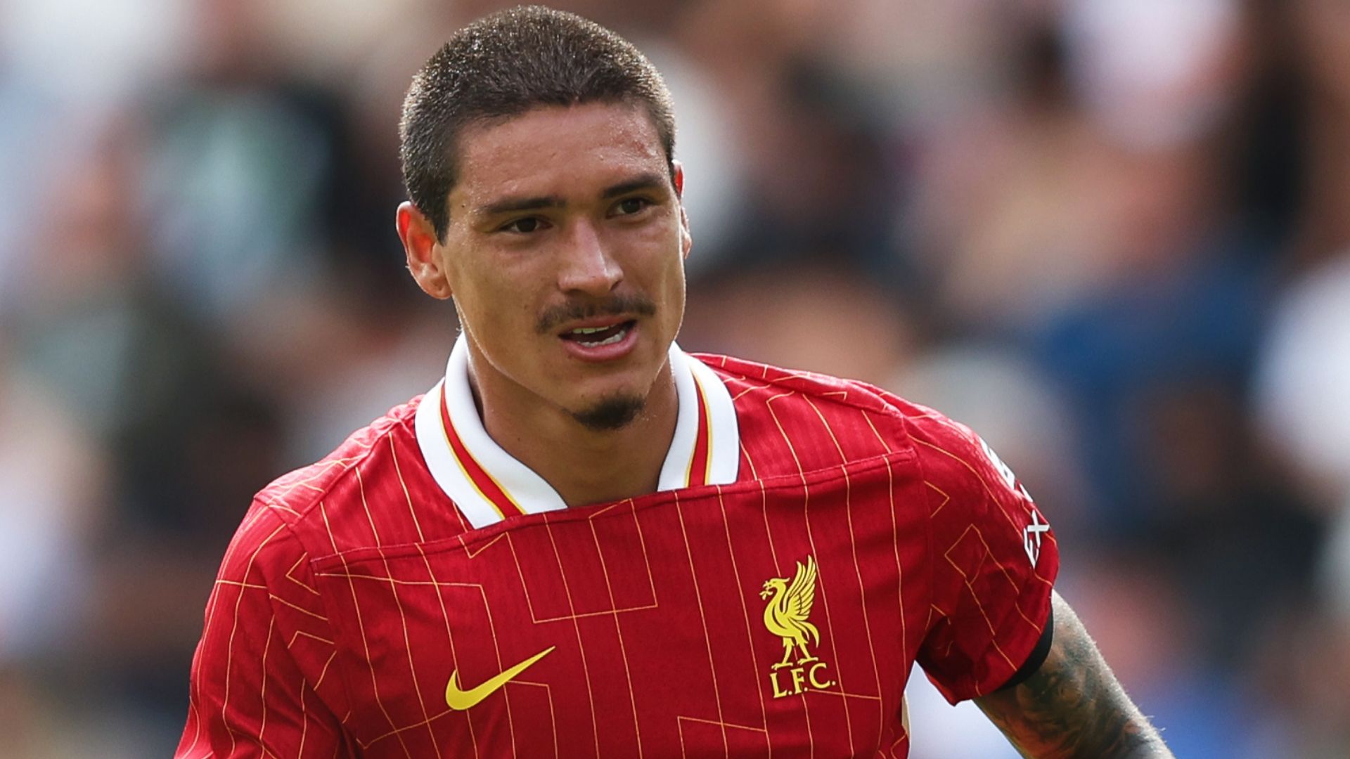 Milan, cercasi attaccante: per i bookie spunta l'idea Nunez, Krstovic e ...