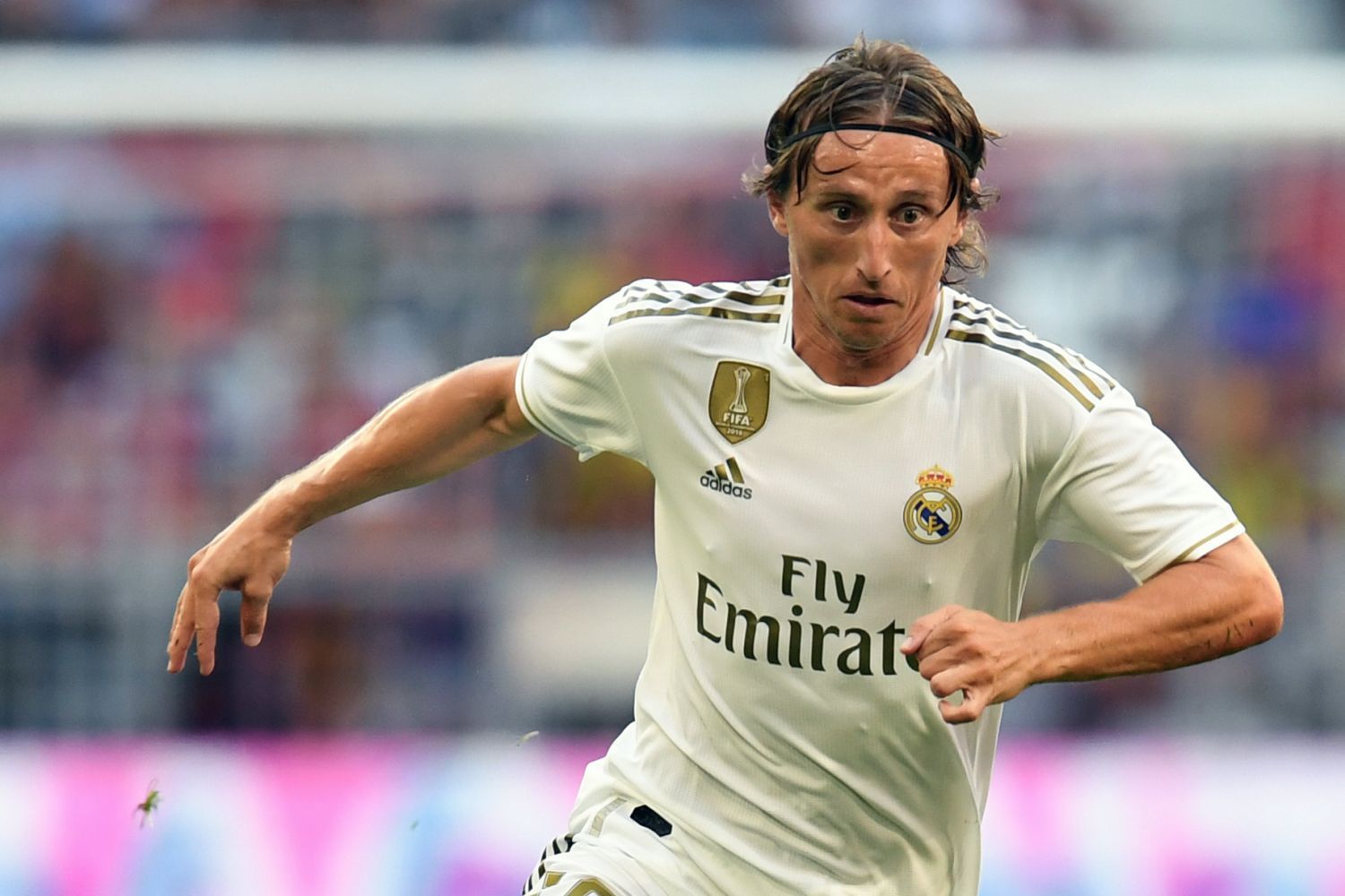 TS - Luka Modrid occasione anche per la Juventus: l'idea del club | Il ...