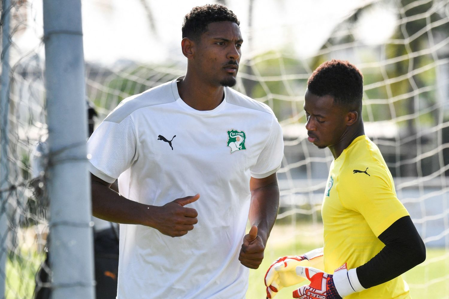 Dortmund, quattro nomi per sostituire Haller: ci sono anche Piatek e ...