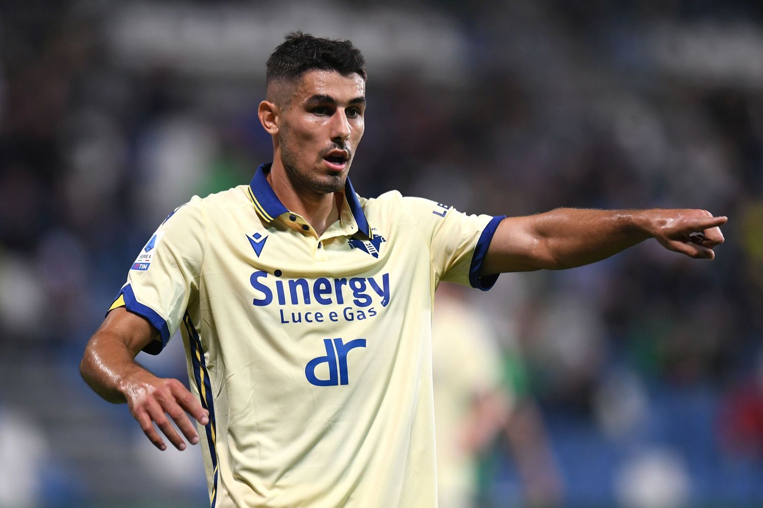 Verona, Faraoni: 'Quest'anno la sfida più grande. Inter? La verità è ...