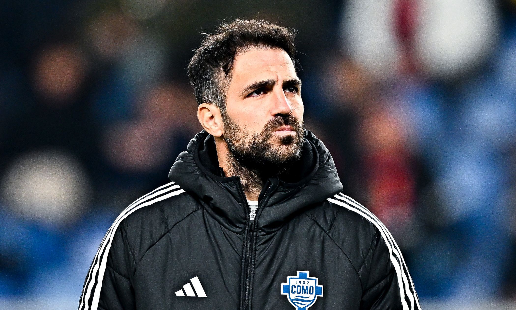 Como, Fabregas: "Col Venezia gioca Reina, out Moreno. Per ora niente ...