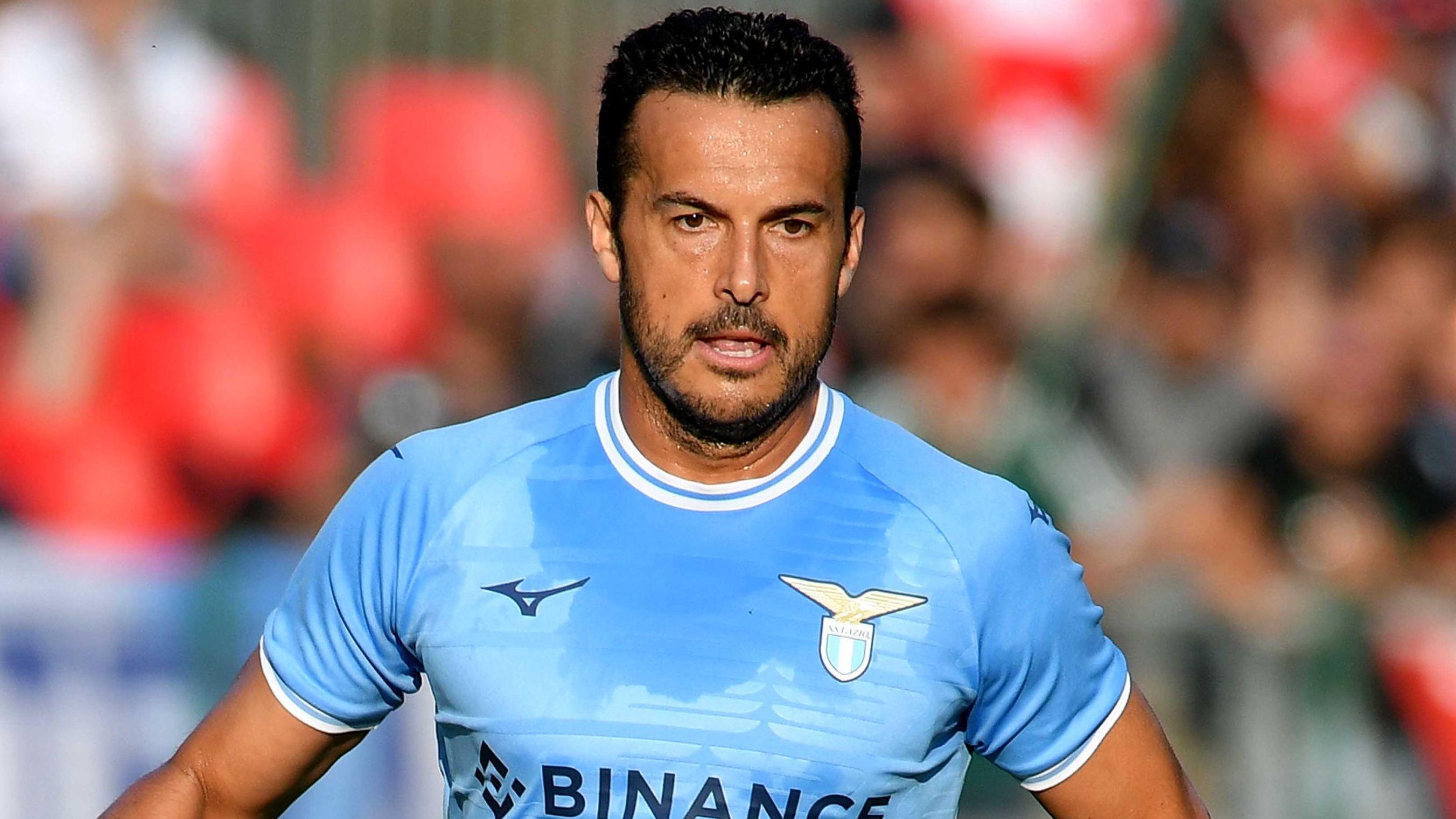 Lazio, Pedro: "Vado via a giugno, ma prima voglio riportare la squadra ...